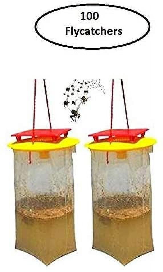 REDTOP Flycatchers Compact Size - 100% Non-Toxic Disposable Outdoor Fly ...