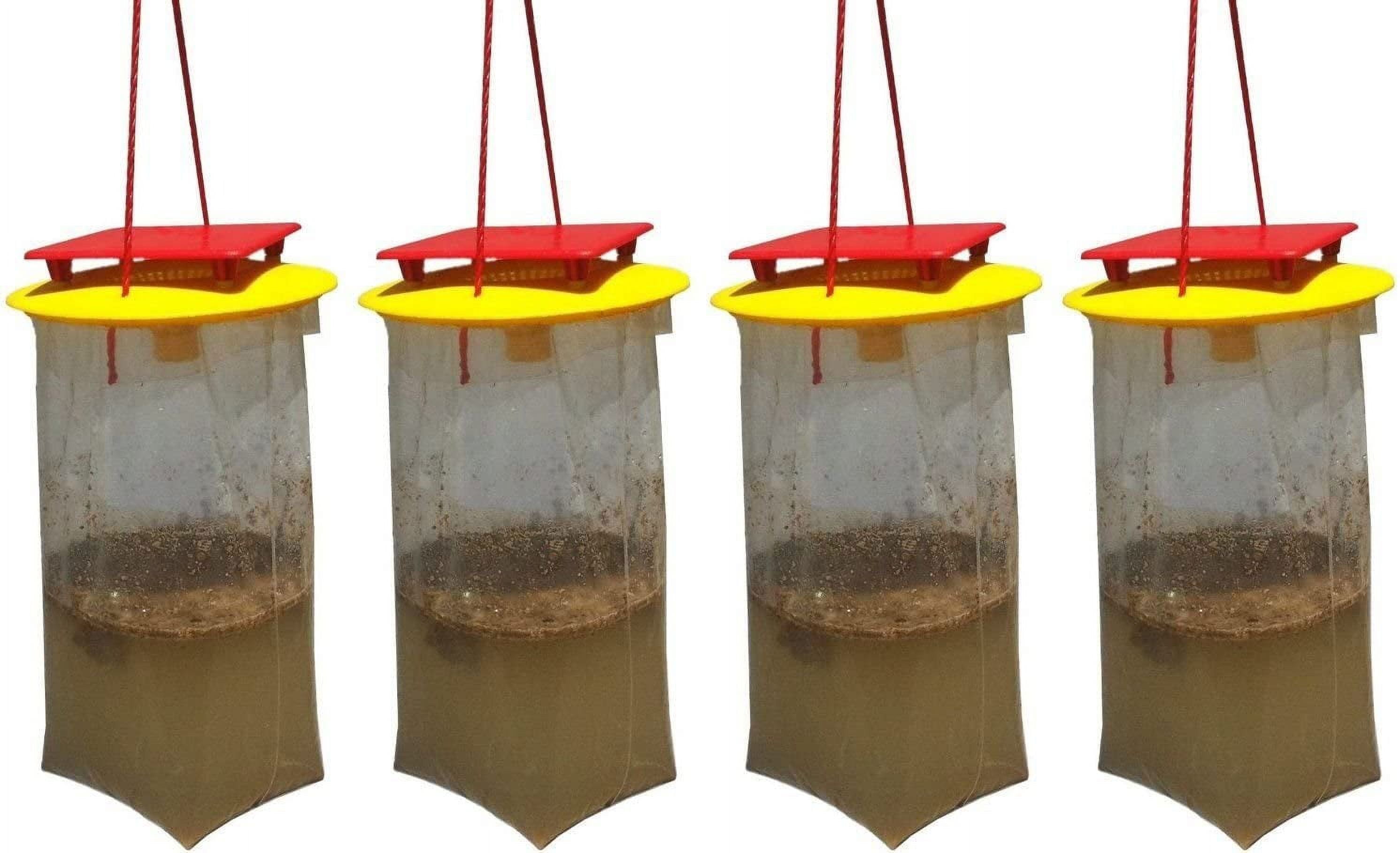 REDTOP Compact Outdoor Fly Trap - Non-Toxic, Disposable, Attracts Egg ...