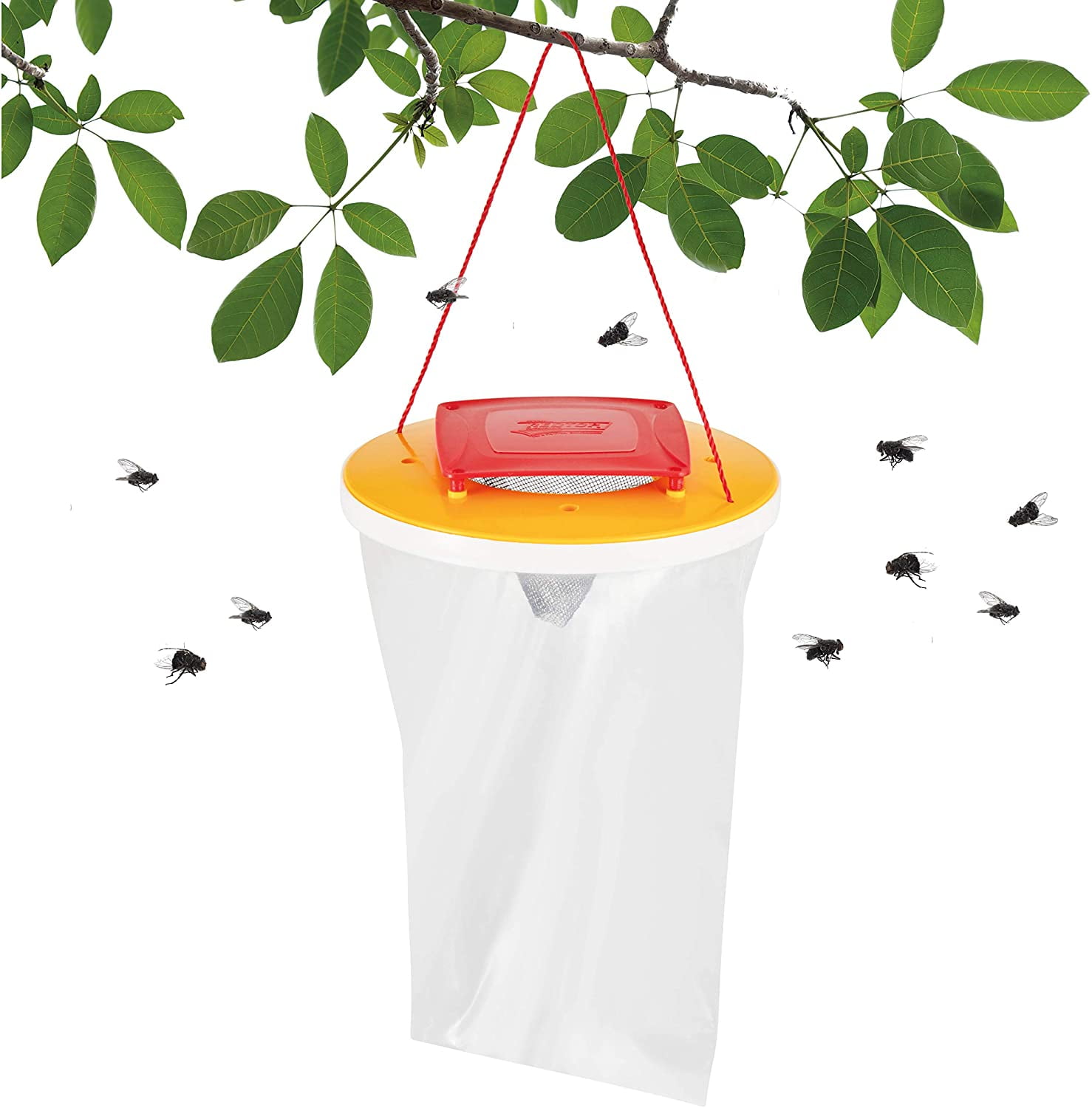 REDTOP Flycatchers Standard Size - 100% Non-Toxic Disposable Outdoor ...