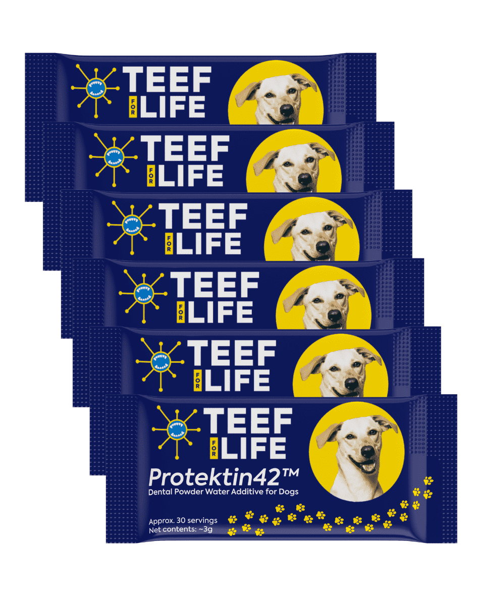 REFILL PACKETS - Protektin42 - Prebiotic Dental Powder for Dogs, Daily ...