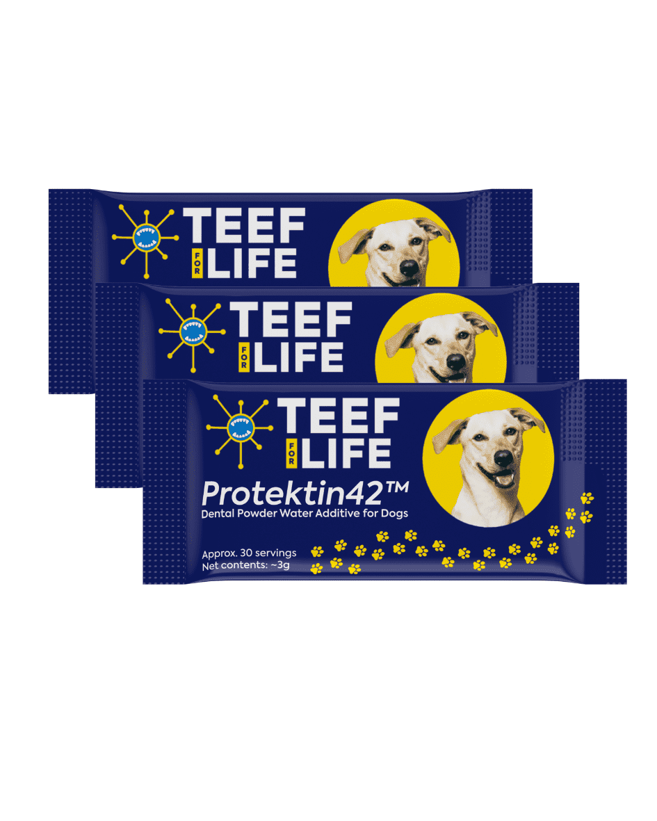 REFILL PACKETS - Protektin42 - Prebiotic Dental Powder for Dogs, Daily ...