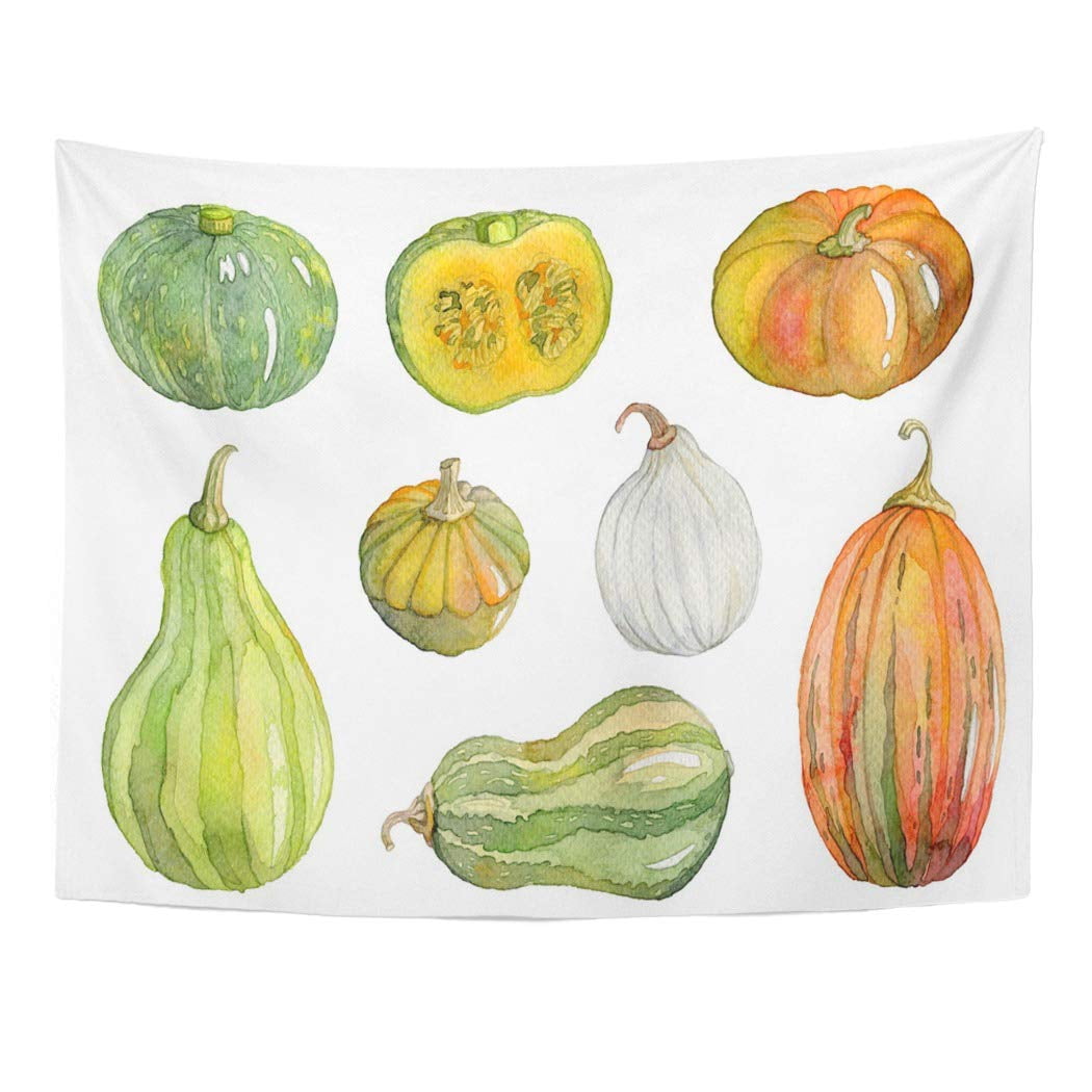 REFRED Colorful Assorted Watercolor Pumpkin Squash Marrow on Green ...