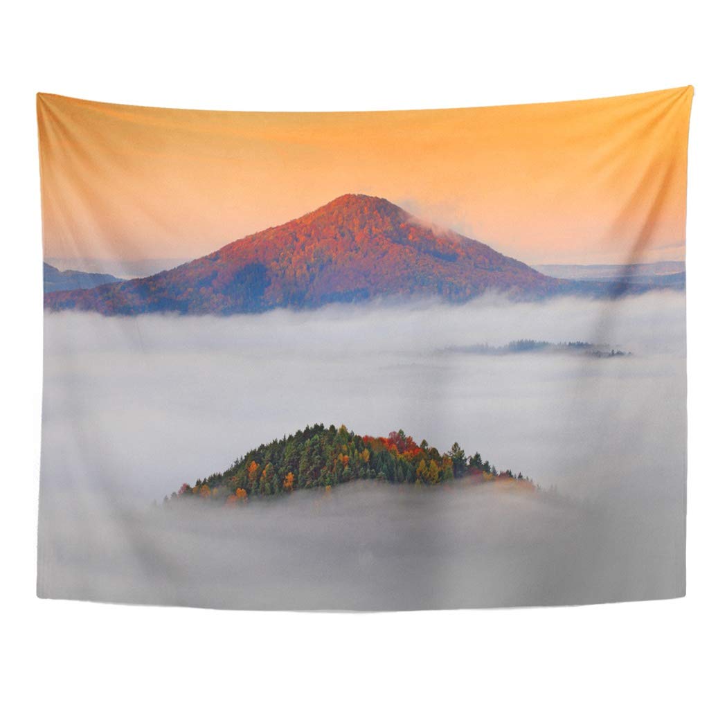 REFRED Hills Autumn Trees in The Foggy Clouds Morning Fall Valley Bohemian Switzerland Park ...