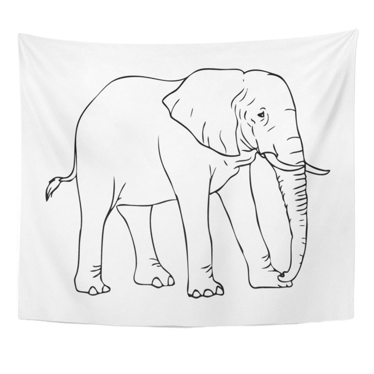 how to draw elephant at home