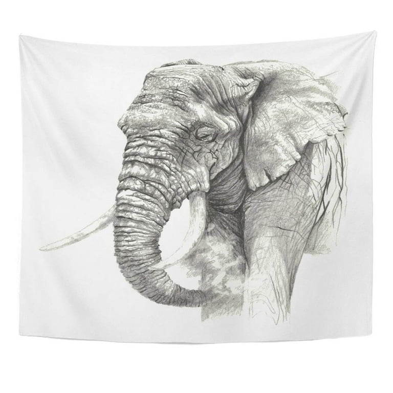 how to draw elephant at home