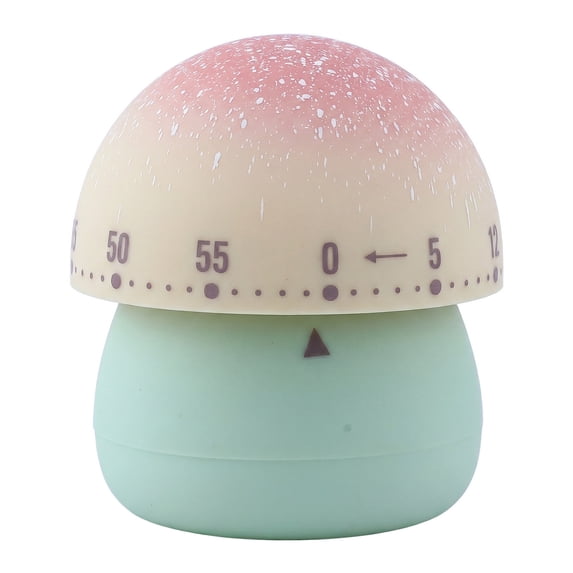 REGALWOVEN 60 Minute Kitchen Timer, Digital Visual Timer for Student ...
