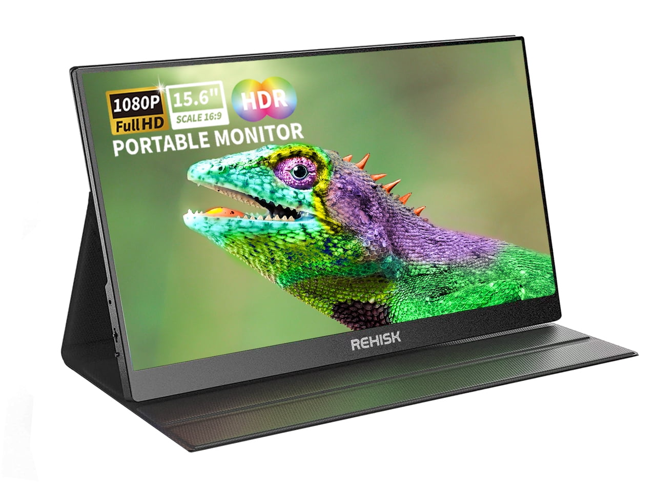 REHISK 15.6 inch IPS Portable Monitor FHD 1080P Laptop Monitor 100% ...