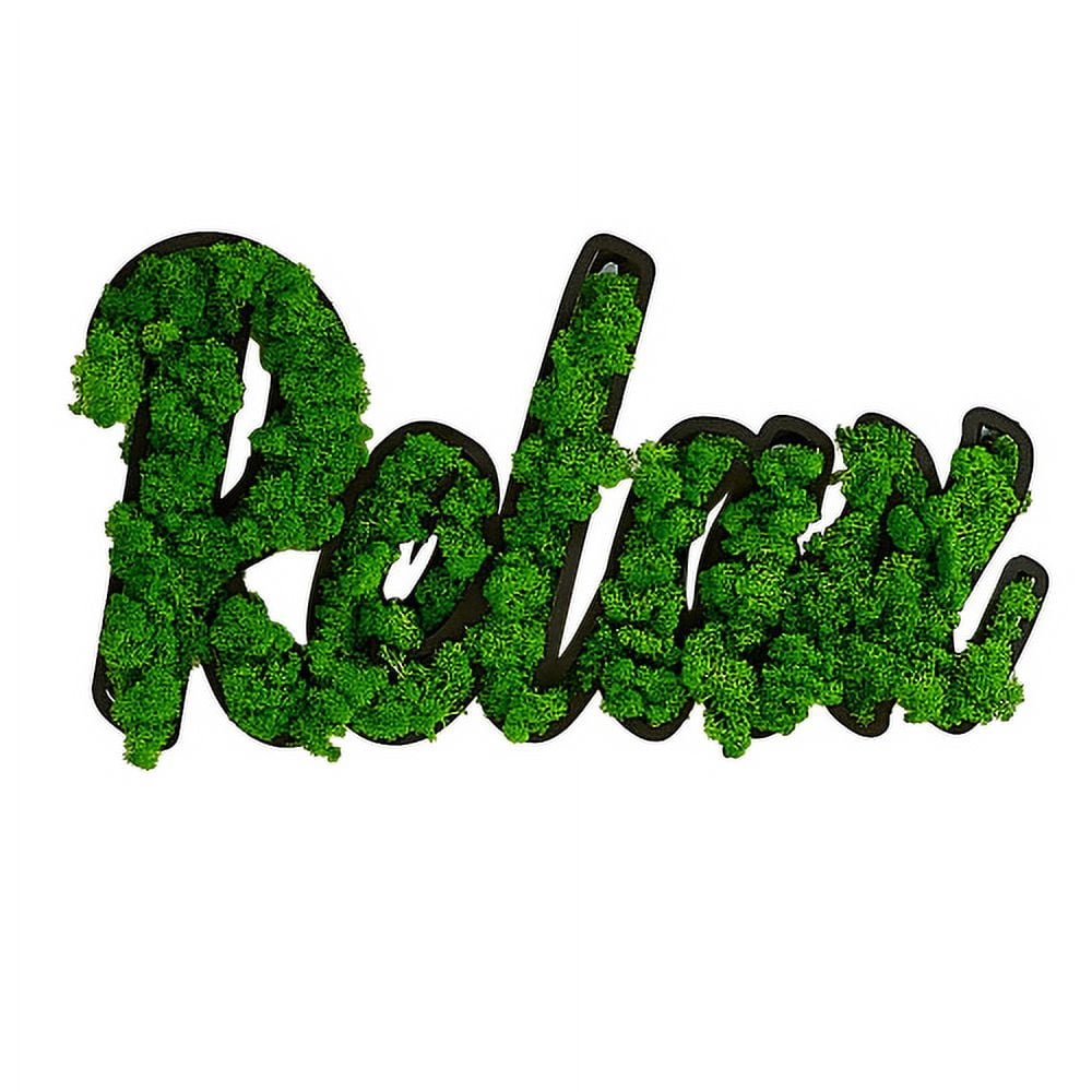 RELAX Letter Art Moss Wall Decor - Walmart.com
