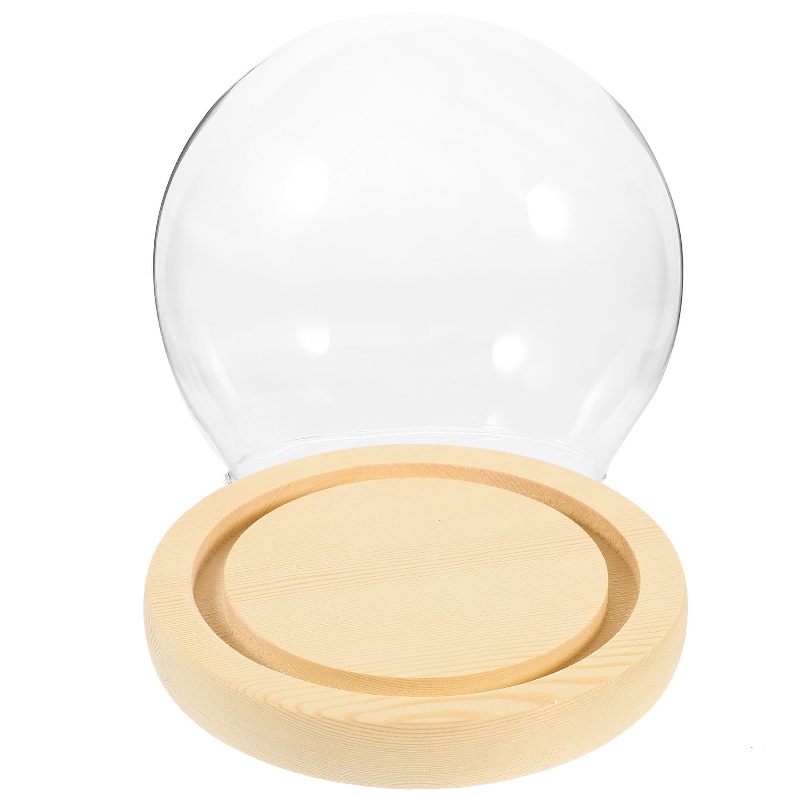 RENACLIPY 1 Piece Glass Domes For Display Dustproof Storage Multi Color ...