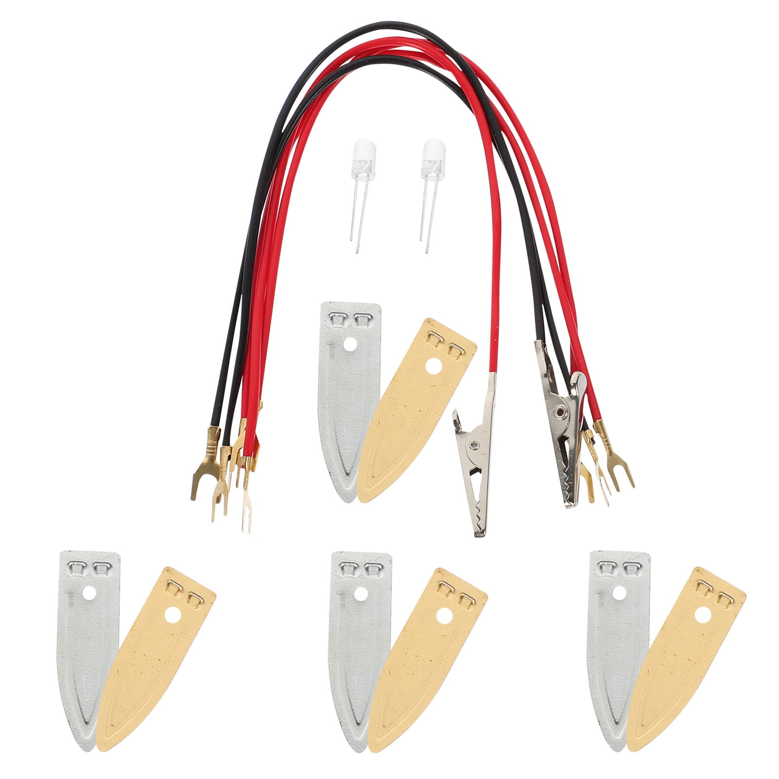 RENACLIPY 1 Set Fruit Battery Science Experiment Kit for Students with ...