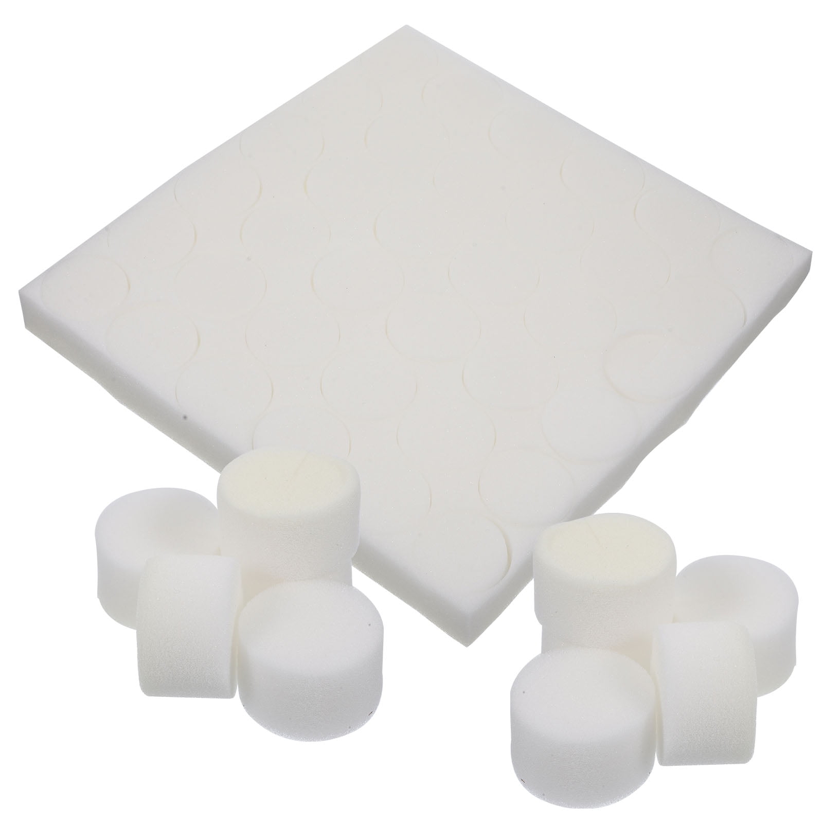RENACLIPY 100Pcs White Hydroponic Sponge Plates Planting Tools for Seed ...