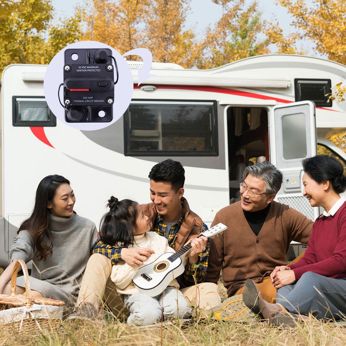 RENACLIPY 1Pack Material Car Auto Reset Fuse Inverter for Automotive ...