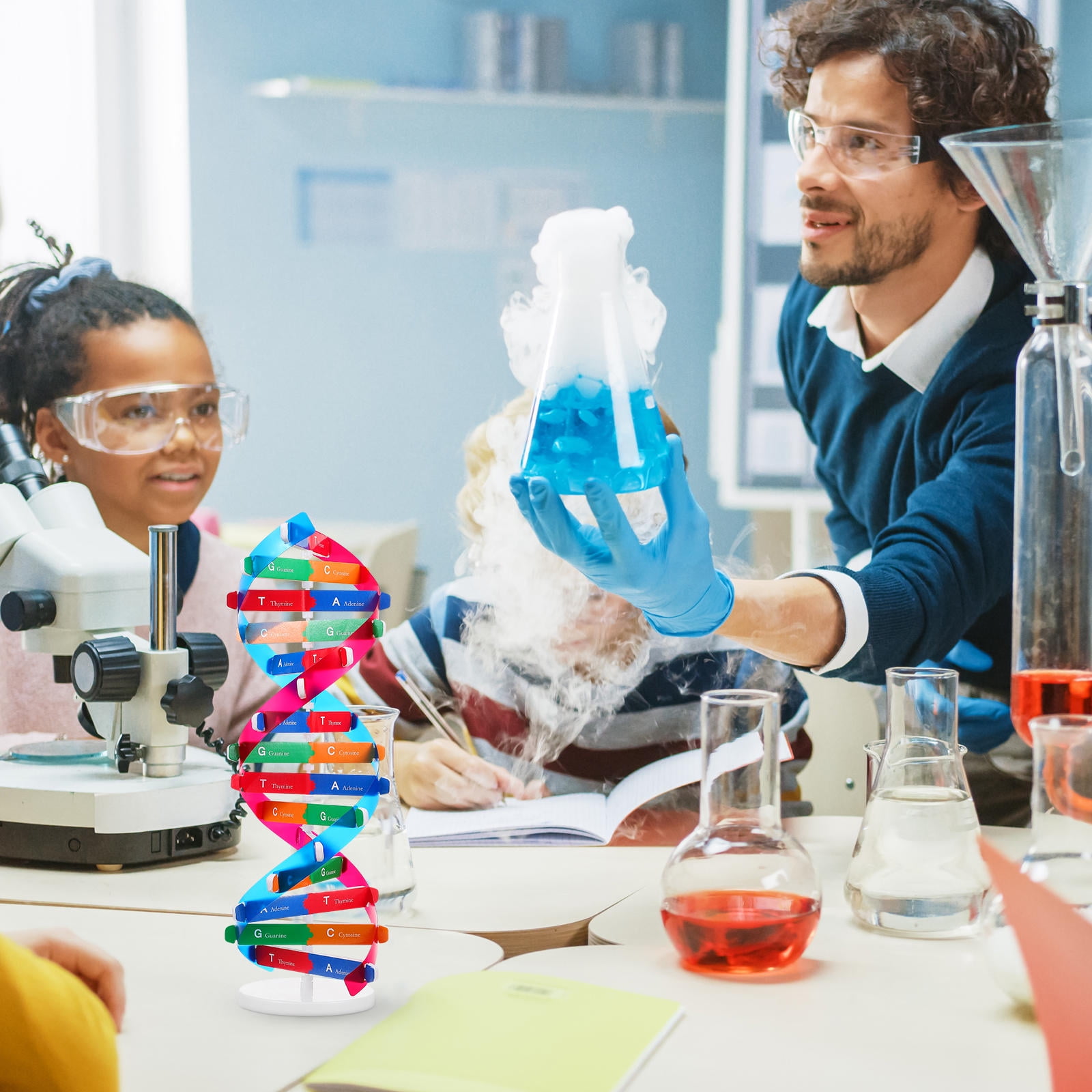 RENACLIPY Dna Structure Model Kit Adults PP 1Set 33In X 11.6In X 11.6In ...