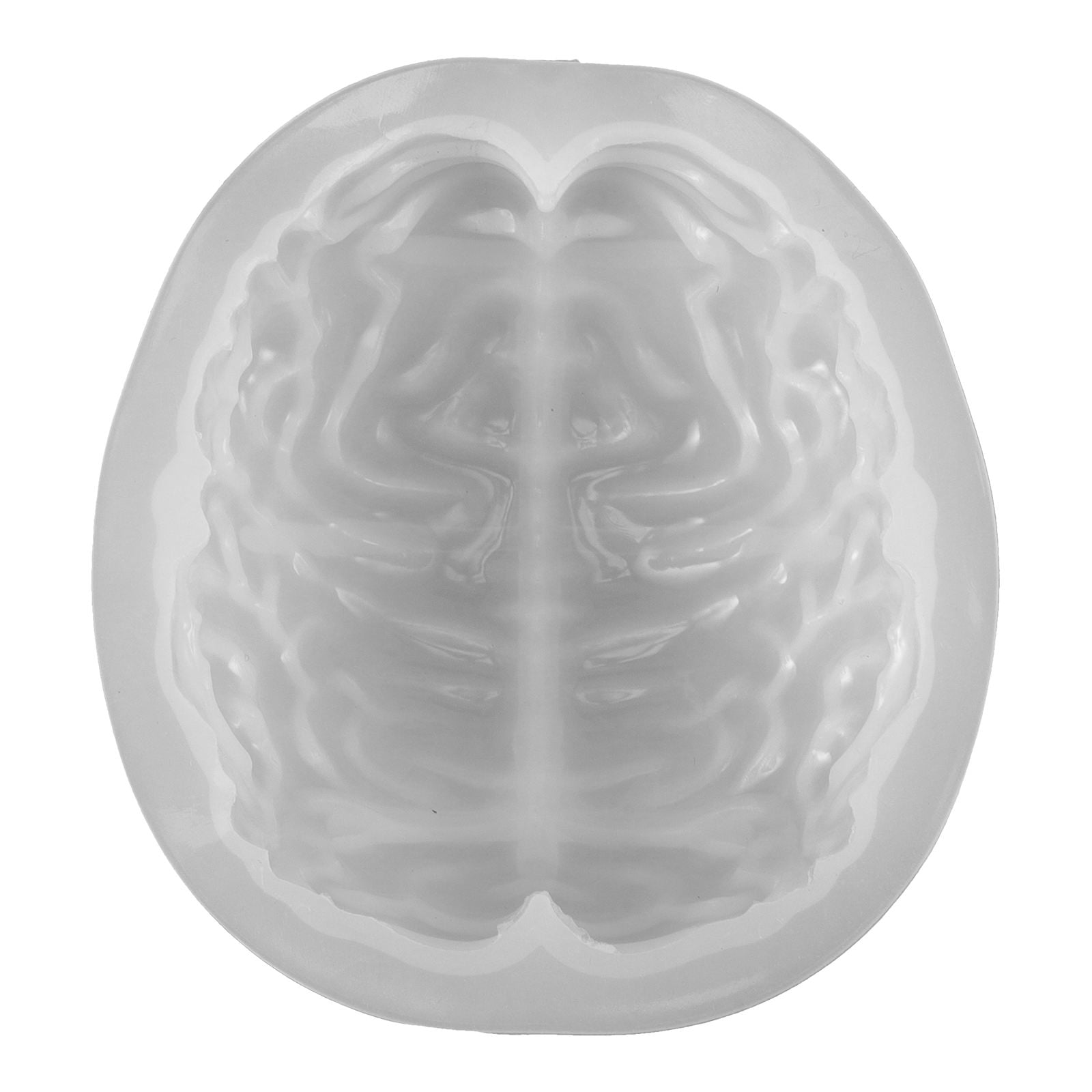 RENACLIPY Fake Brain Mold Silicone White 1Pcs for Handmade Crafts ...