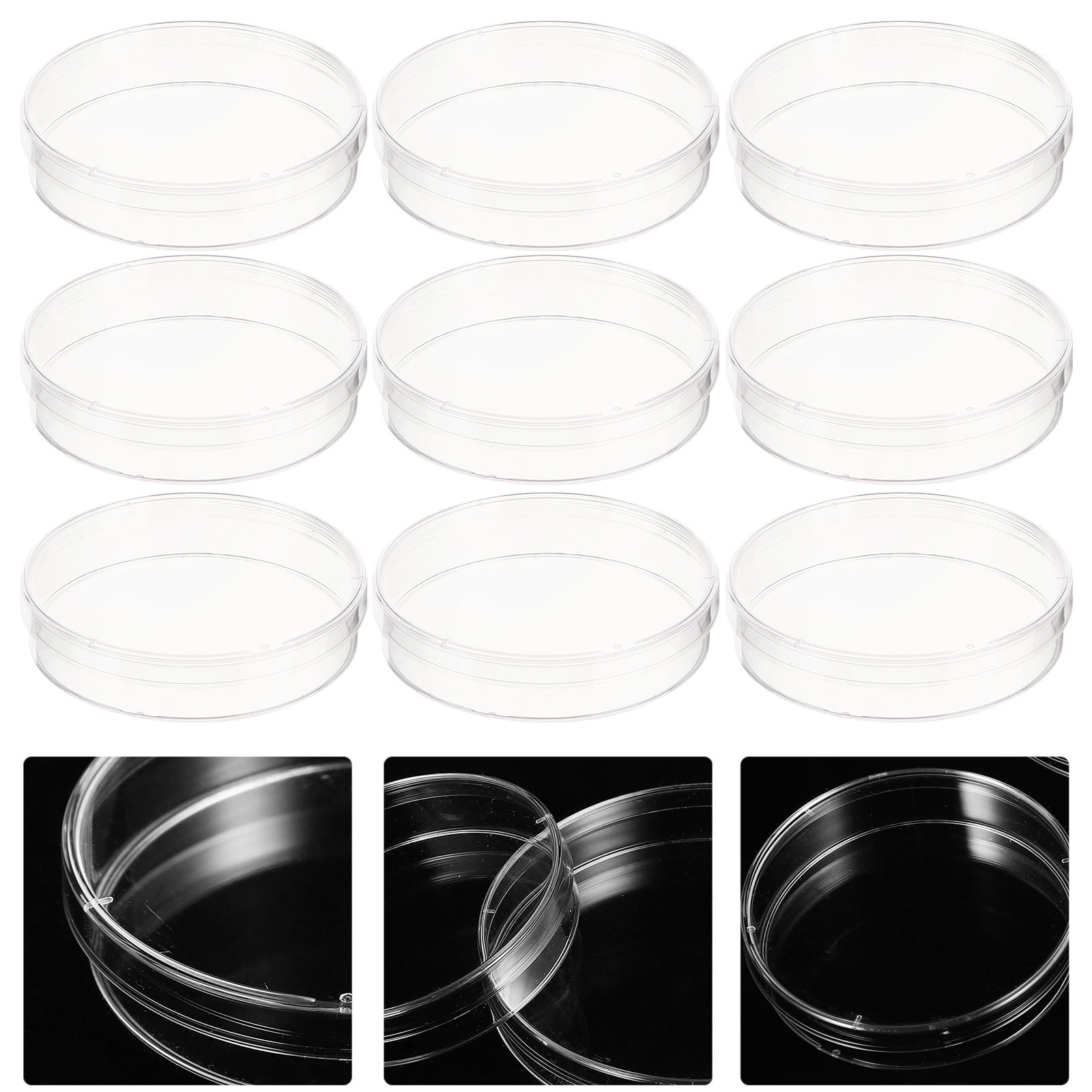 RENACLIPY 30Pcs Transparent Plastic Specimen Containers For Sample ...
