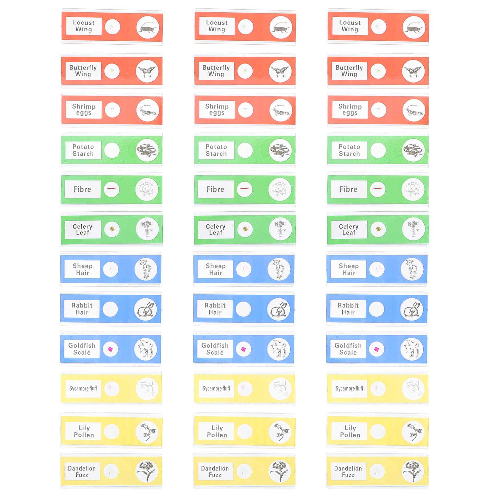 RENACLIPY 36Pcs Sample Microscope Slides with Selected Plant Specimens ...