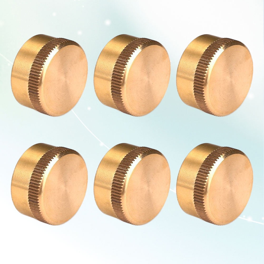 RENACLIPY 6Pcs Brass Sealing Caps for Gas Tank Cylinder Sealed and ...