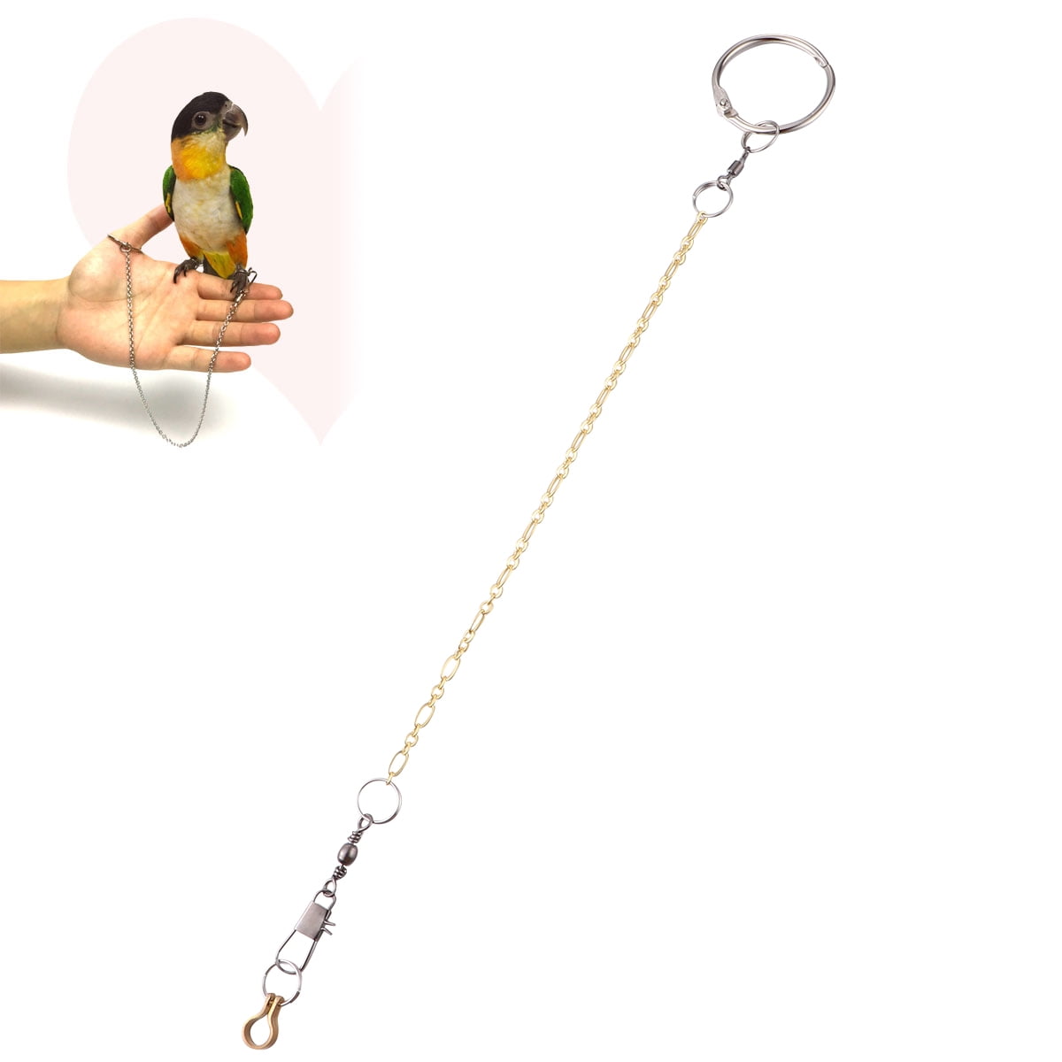 RENACLIPY Birds Anklet Copper Golden Circle Costume Use 1Set - Walmart.com