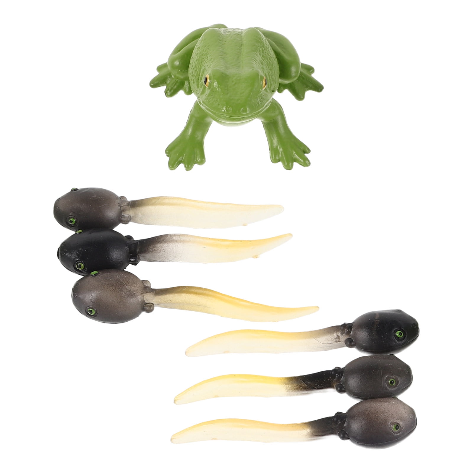 RENACLIPY Collectible Frog Models Detailed Craftsmanship Green Plastic ...