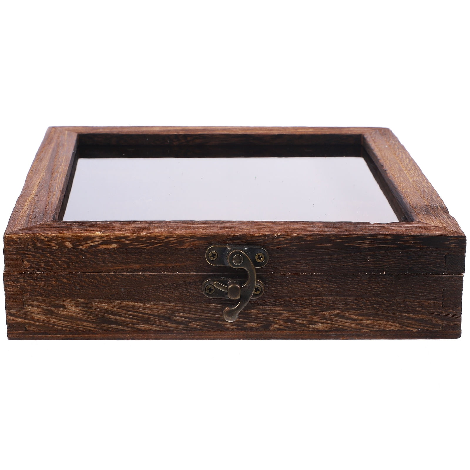 RENACLIPY Insect Observation Box Insect Specimen Display Case Retro ...