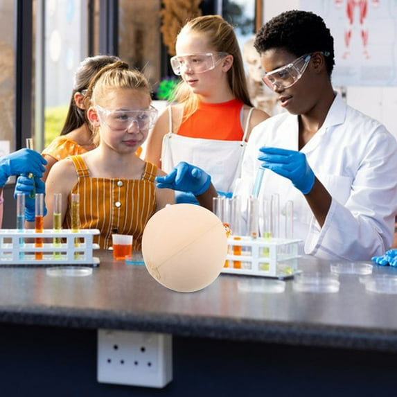 RENACLIPY Laboratory Balloon Internal Bladder Emulsion Pipette for Lab ...