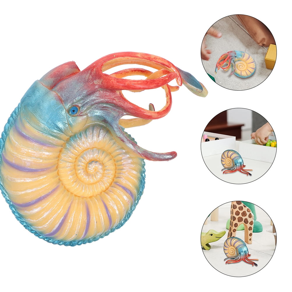 RENACLIPY Ocean Animals Figures Nautilus Model With Multi-Color For ...