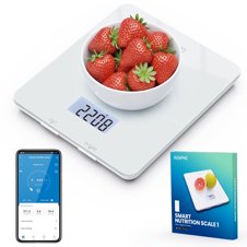 Taylor Digital Scales