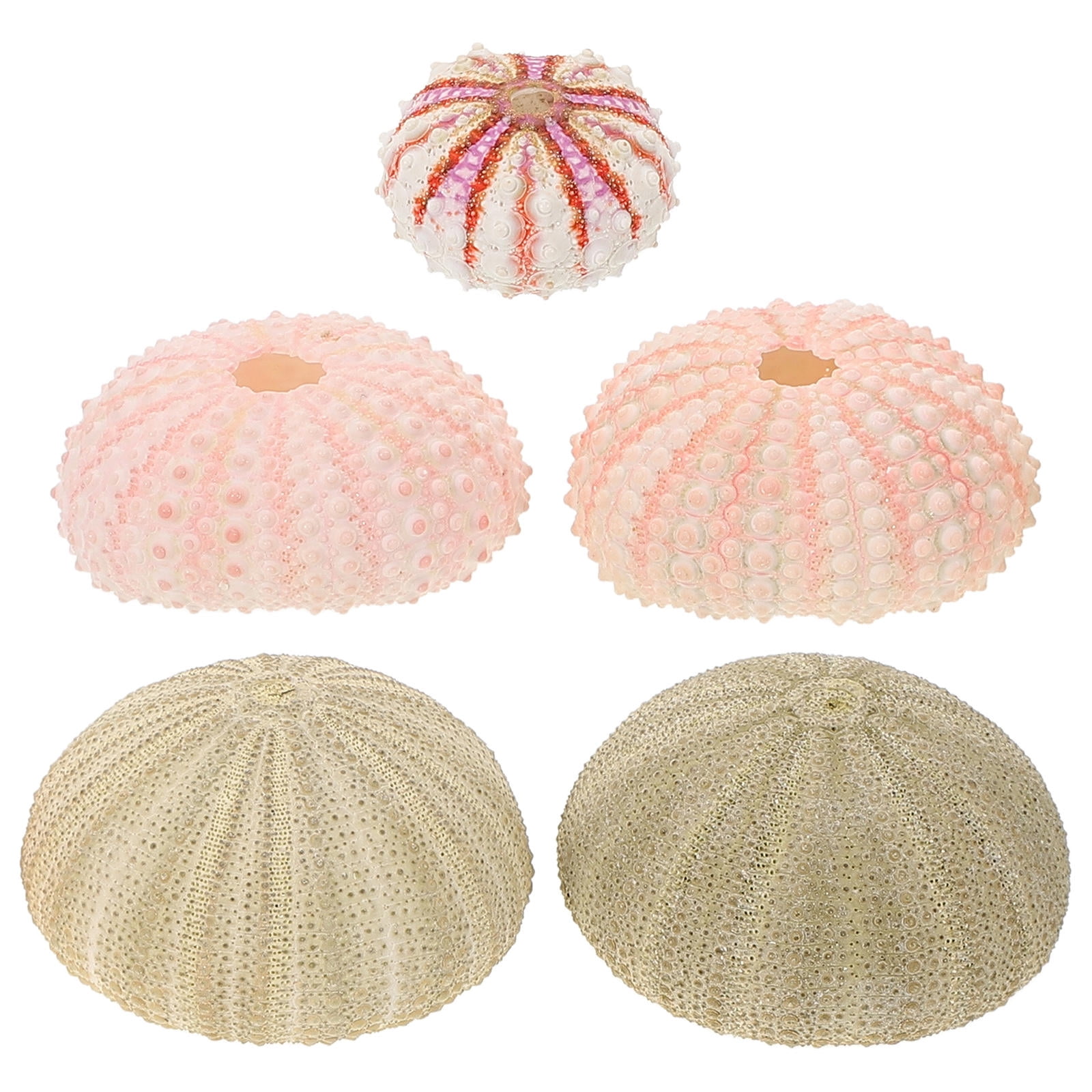 REOFLYUP 5pcs Hanging Sea Pot Fish Accessories for Tanks Assorted Color ...