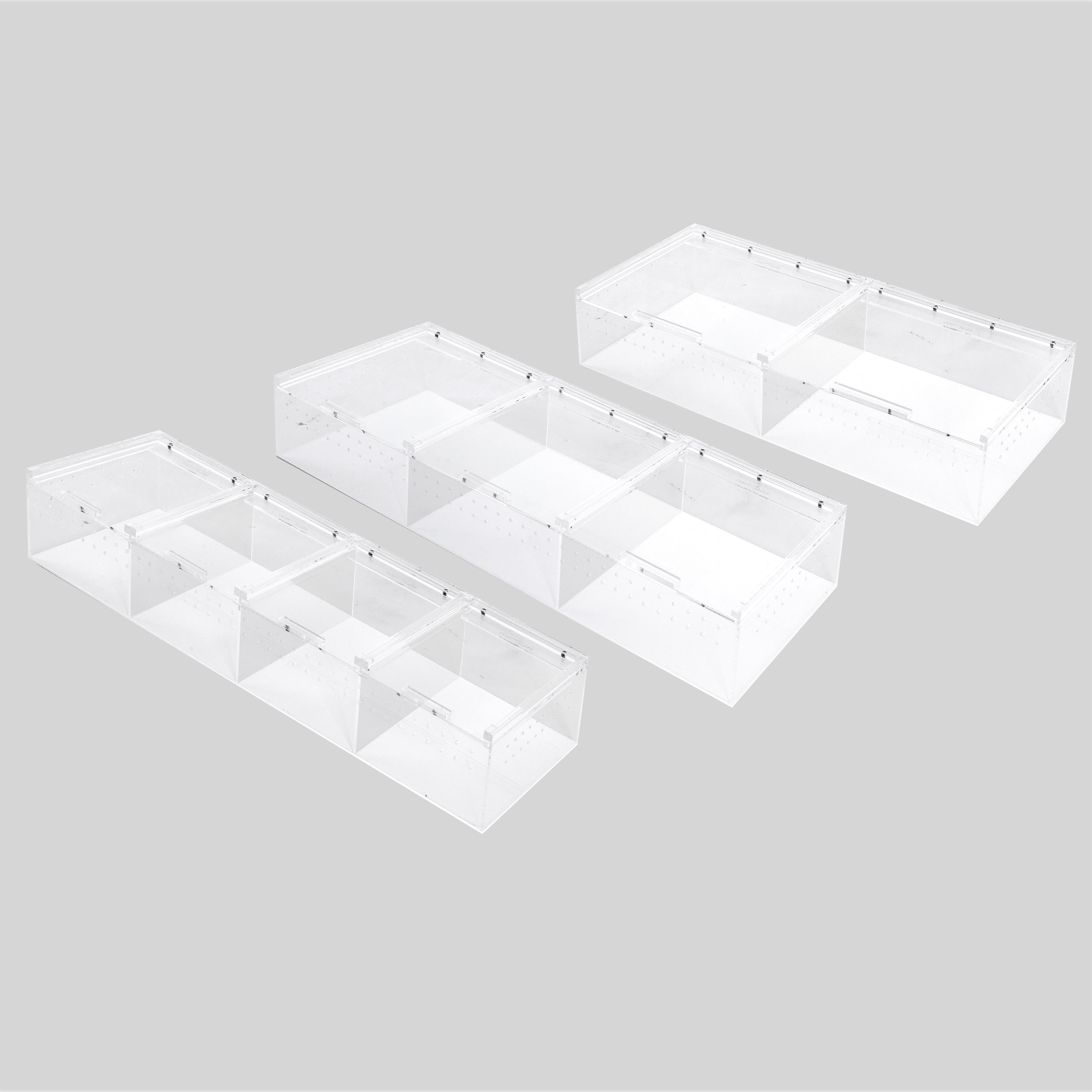 REPTIZOO 3-Pack Compact Acrylic Breeding Case with Divider for Spider ...