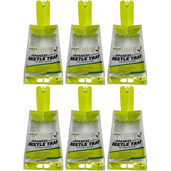 Japanese Beetle Trap