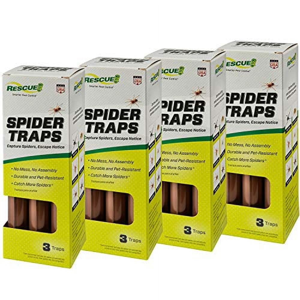RESCUE! Spider Traps – Catches Brown Recluse, Hobo Spiders, Black ...