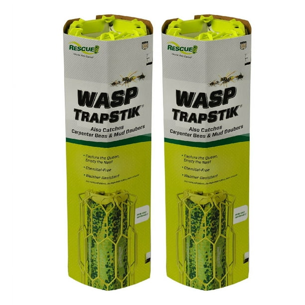RESCUE! Wasp Trap Stick, Wasp and Yellowjacket Catcher, 2 Pack ...
