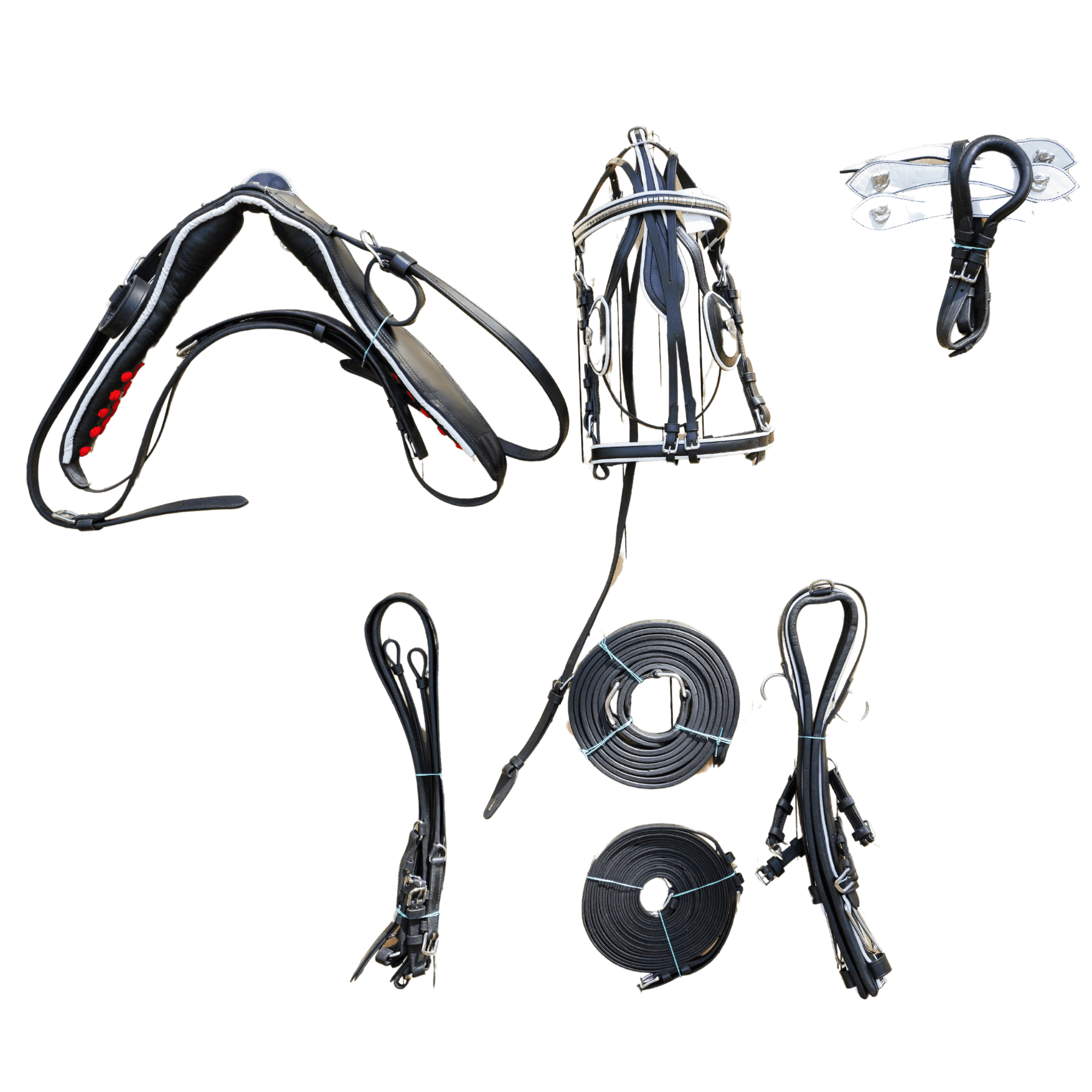 Resistance Miniature Horse Driving Harness – Leather, Complete Set with ...