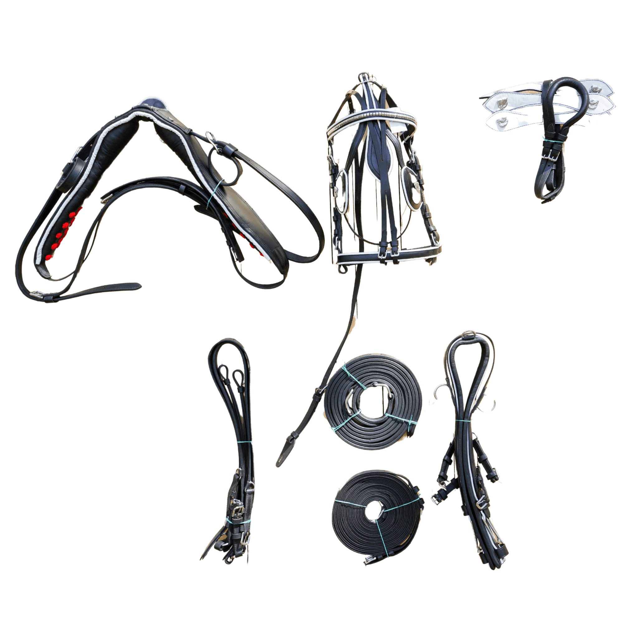 RESISTANCE Miniature Small Horse Driving Harness Leather - Blue, Red ...