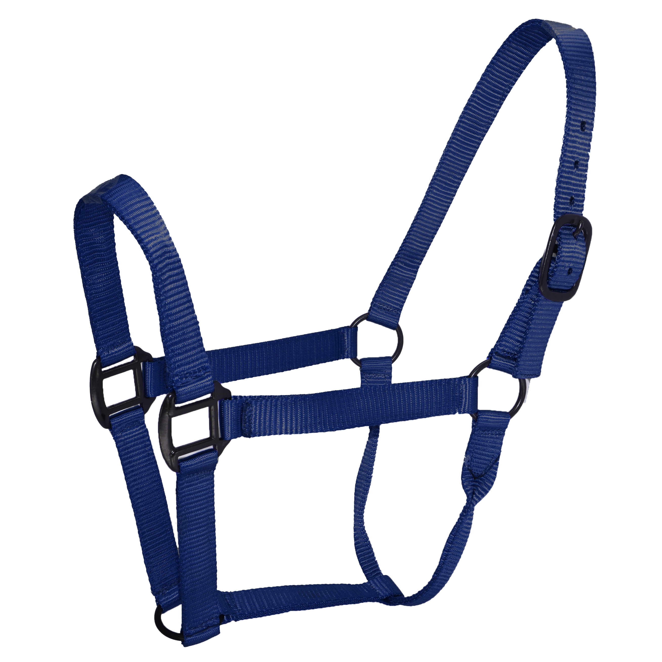 RESISTANCE Premium Nylon Horse Halter - Horse Size - Brown, Royal Blue ...