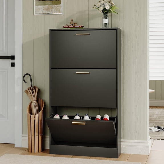Black Shoe Cabinet for Entryway, Narrow Shoe Storage Cabinet with 2 ...