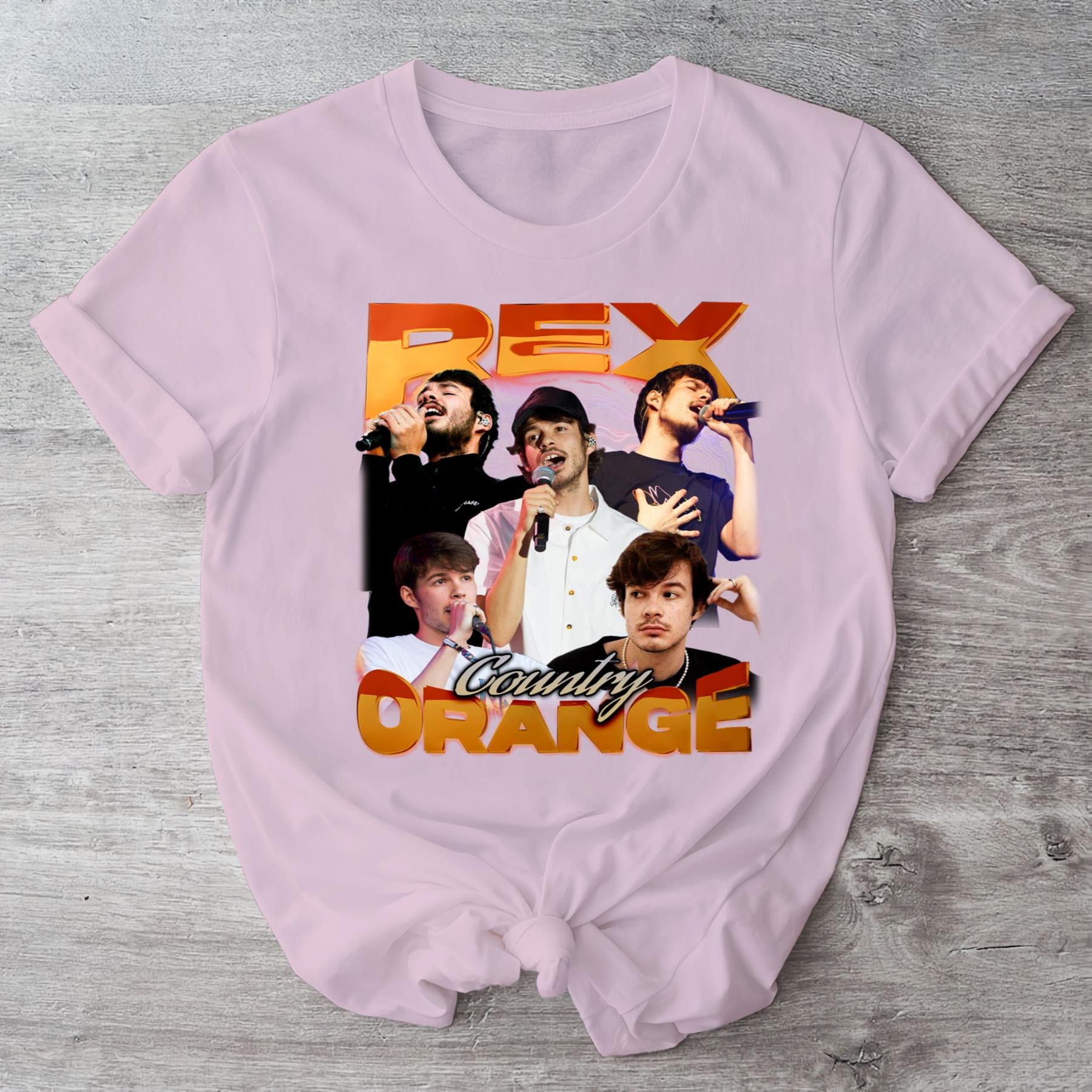 REX ORANGE COUNTY Vintage Rex Orange County Singer Fan Tees Singer Homage Retro Rex Orange ...