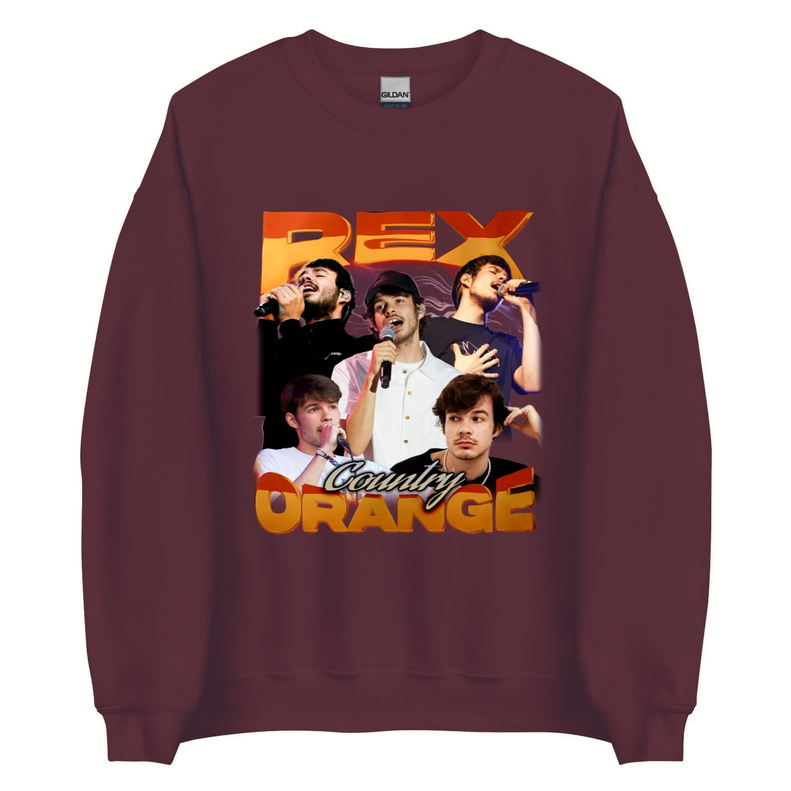 REX ORANGE COUNTY Vintage Rex Orange County Singer Fan Tees Singer Homage Retro Rex Orange ...