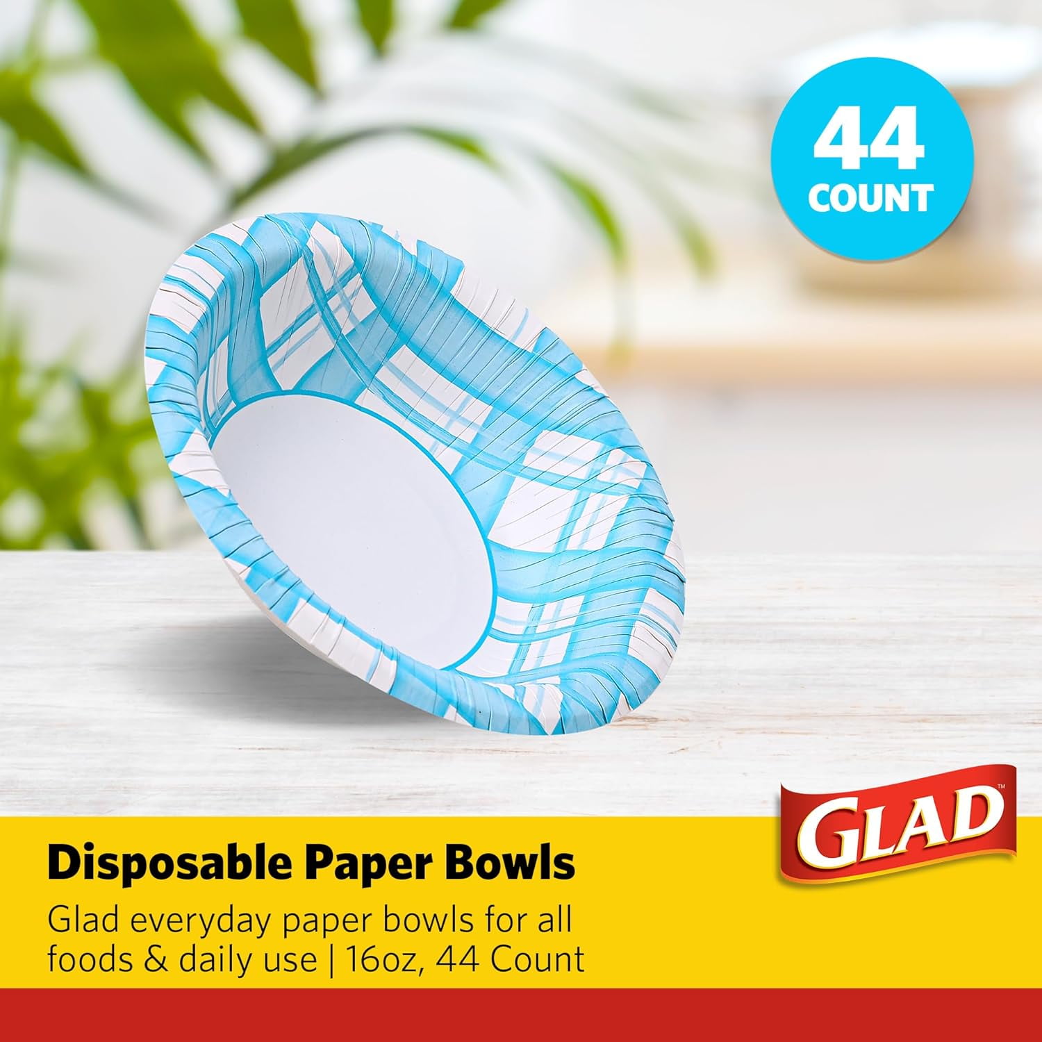 RFGBRG-Everyday Disposable Paper Bowls with Aqua Plaid Design - Soak ...