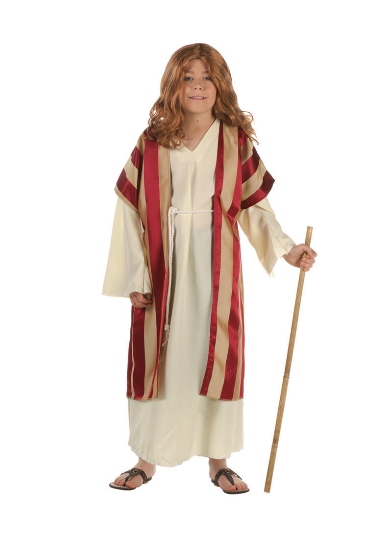 RG Costumes 90284-L Deluxe Moses Costume - Size Child Large 12-14 ...