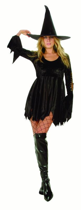 RG Costumes Adult Spell Caster Witch Halloween Costume with Velvet ...