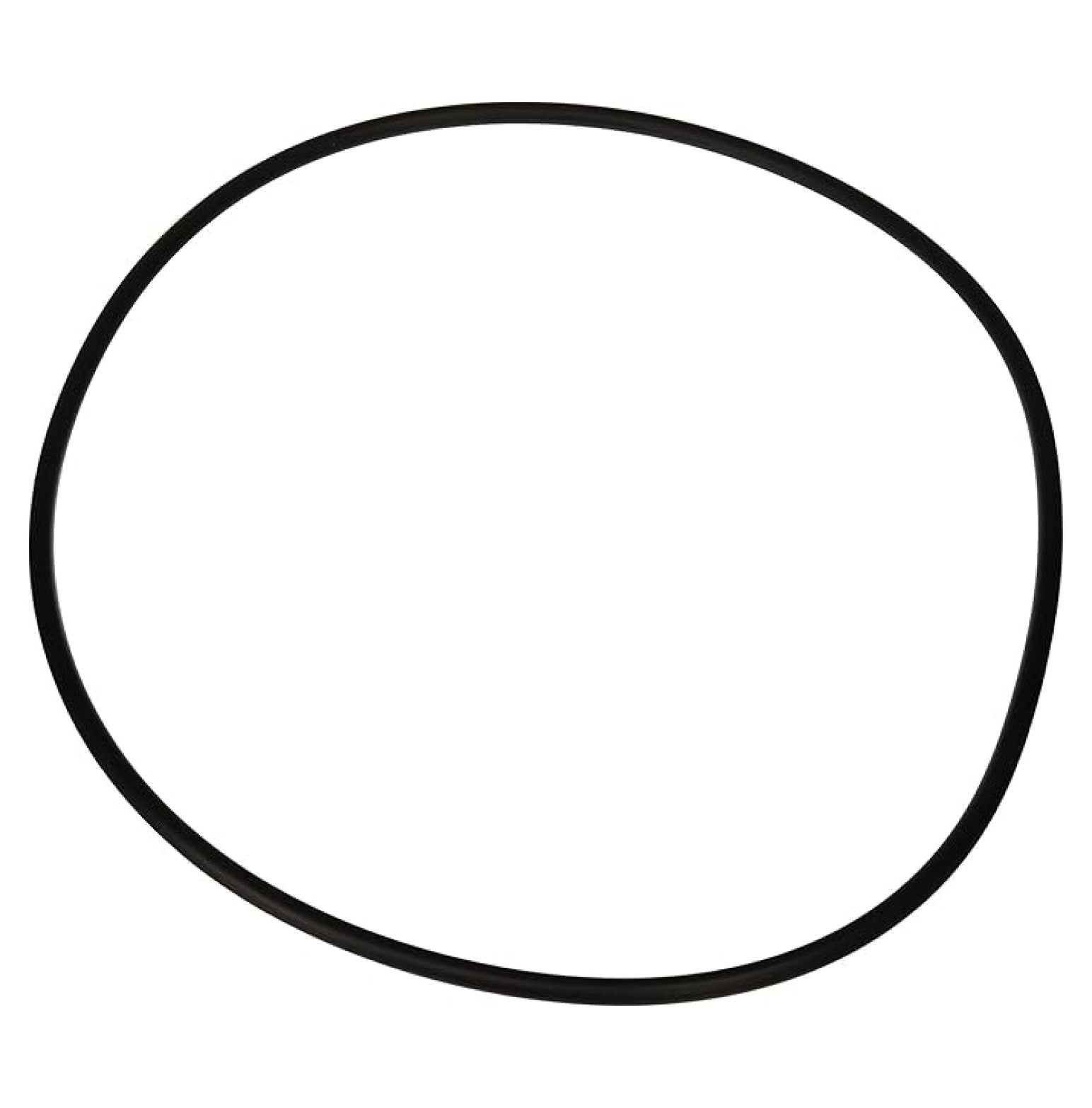 RGX45G Filter Head O-Ring for ReGenx RG450 Series DE Filter - Pool ...