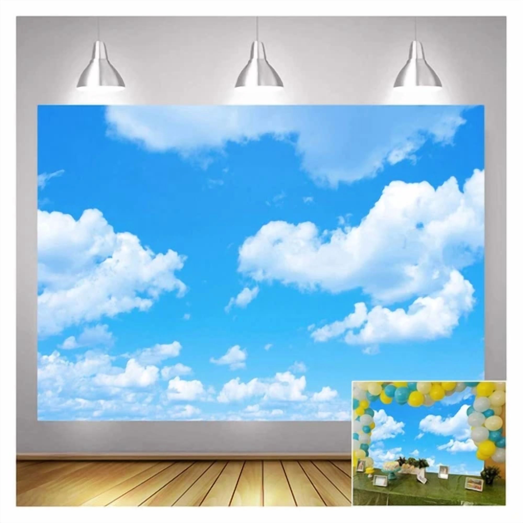 RHEA- 7X5Ft Blue Sky White Cloud Photo Background For Birthday Baby ...