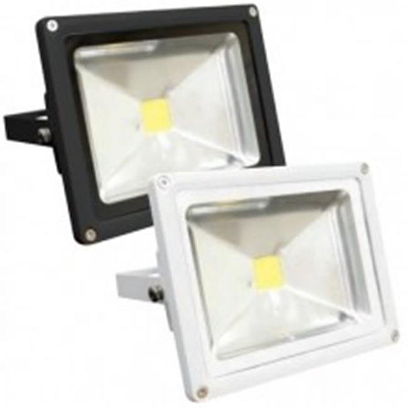 RICELIGHTl FL20B Led Transparent Wire 20 Blue - Walmart.com