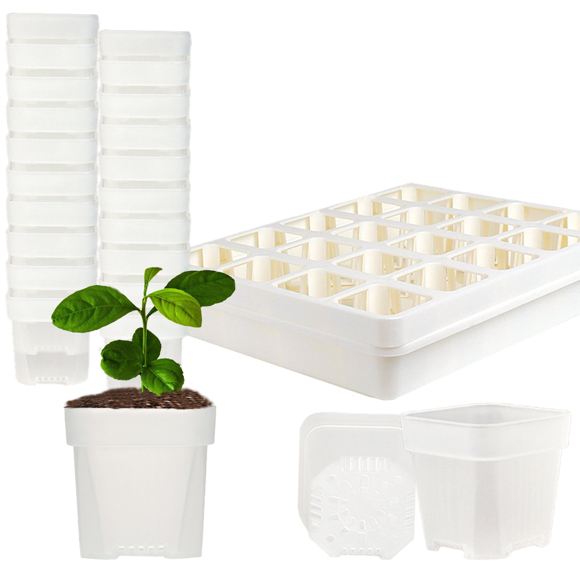 RICHOOSE 2 inch (5CM) Square Nursery Pots 20 PCS,1 Pack Planting Pots ...