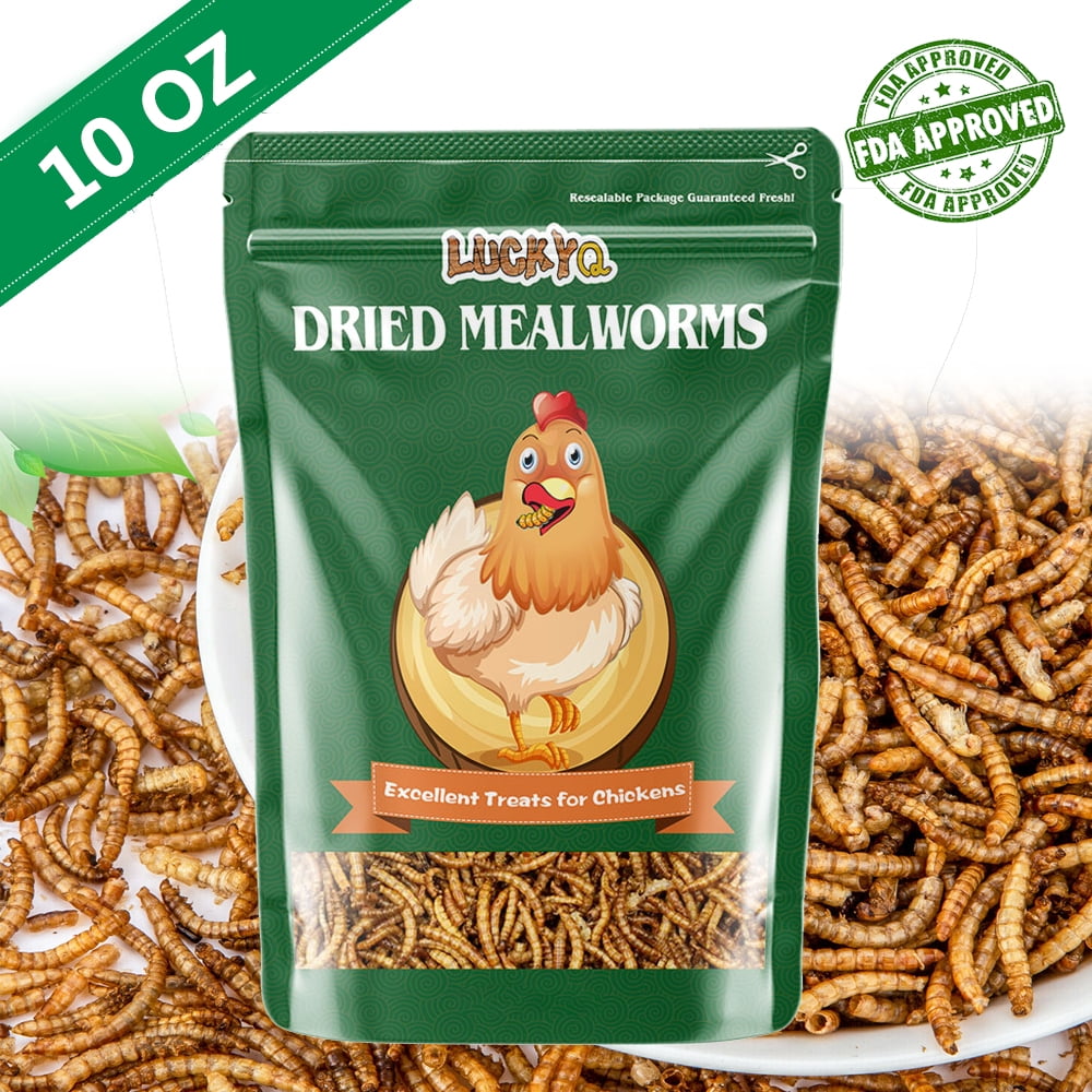 RIDWIND 100% Non-GMO Dried Mealworms 10OZ High-Protein Treats Natural ...