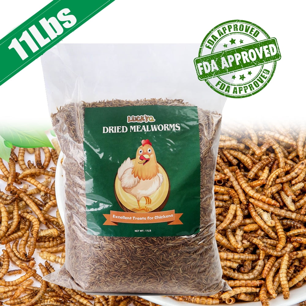 RIDWIND 100% Non-GMO Dried Mealworms 11Lbs High-Protein Treats Natural ...