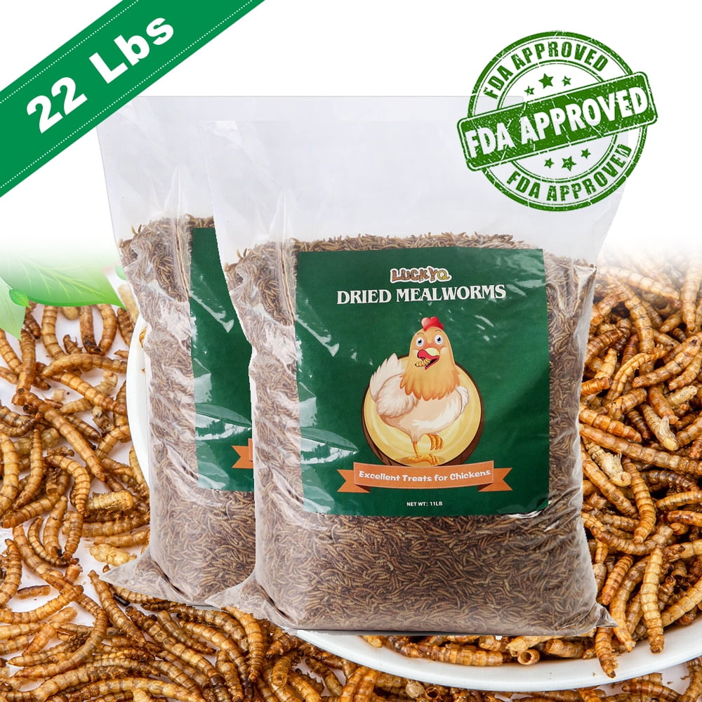 RIDWIND 100% Non-GMO Dried Mealworms 22Lbs High-Protein Treats Natural ...