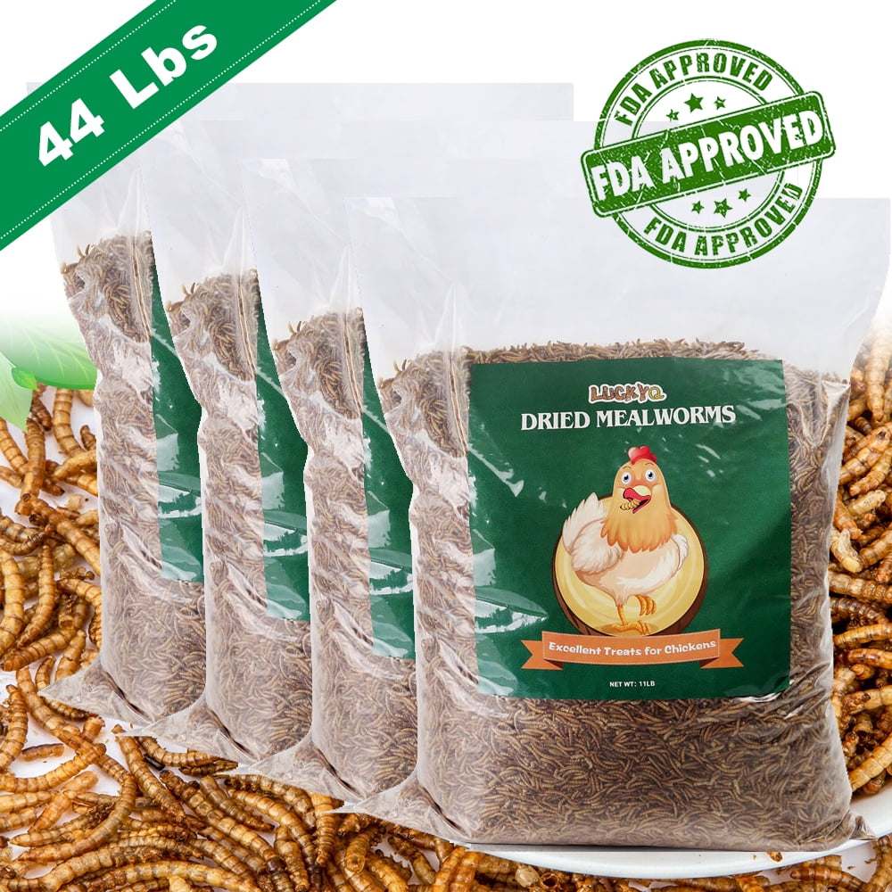 RIDWIND 100% Non-GMO Dried Mealworms 44Lbs High-Protein Treats Natural ...