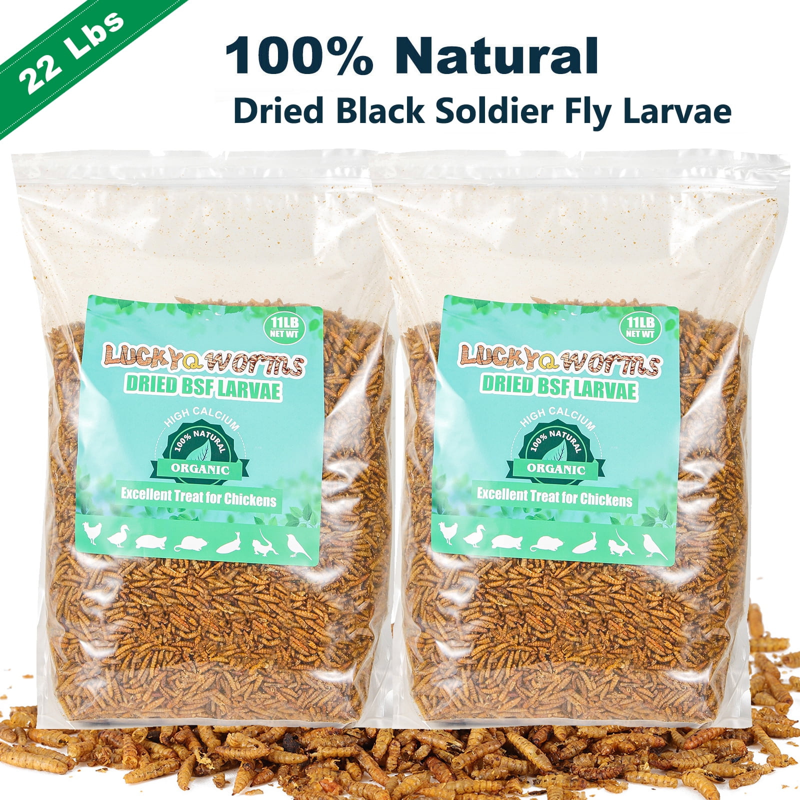 RIDWIND Dried Black Solidier Fly Larvae 22Lbs High-Protein BSF Larvae ...